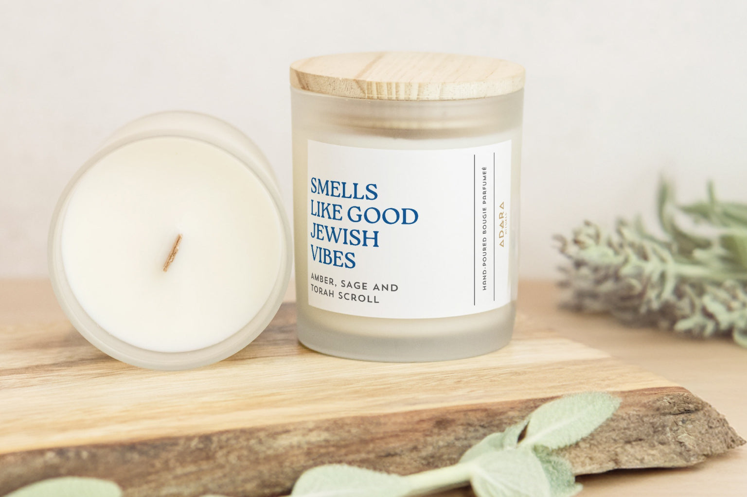 Talia Mini Dreidel Terrarium